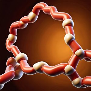 Proteins Polymer: Understanding Their Intricate Structural Nature