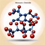 Carbohydrate Polymer Structure: Understanding Its Importance and ...
